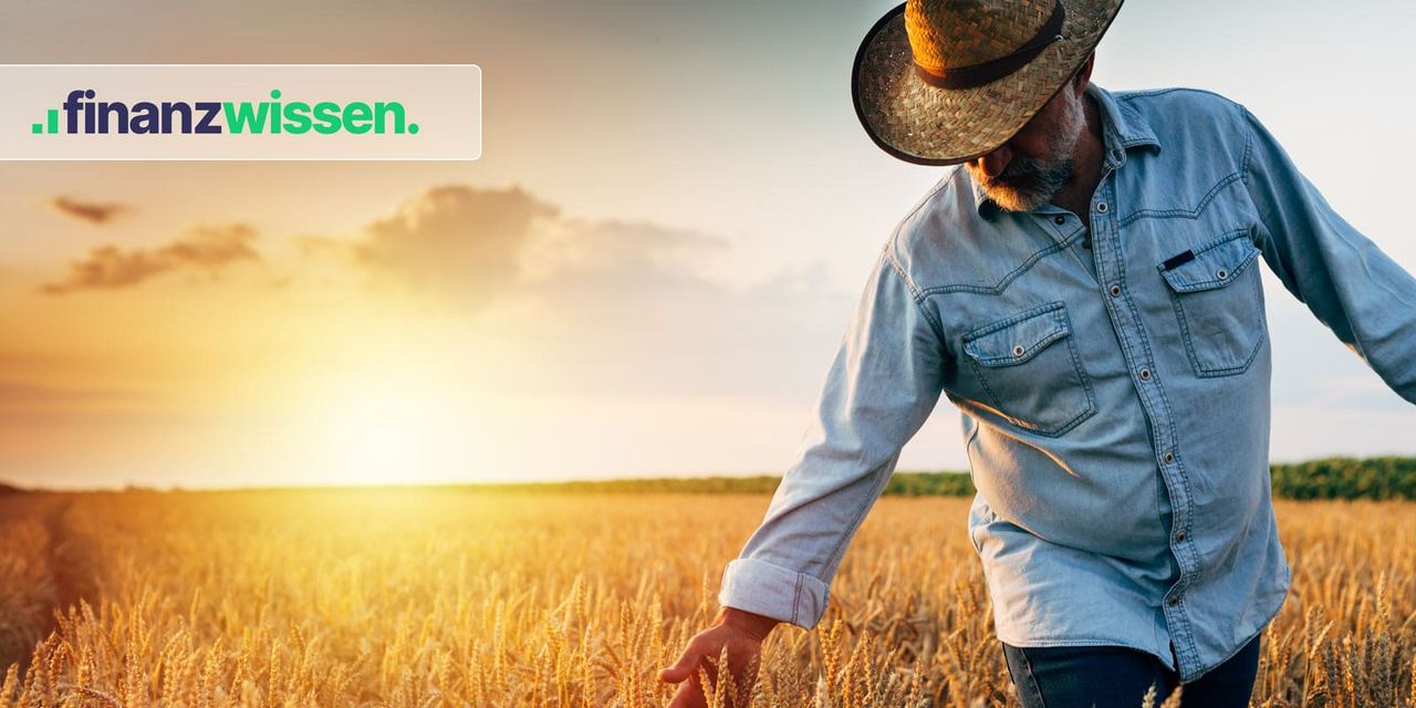 Was sind Rohstoffe? - Handel, Verwendung und Preisbildung